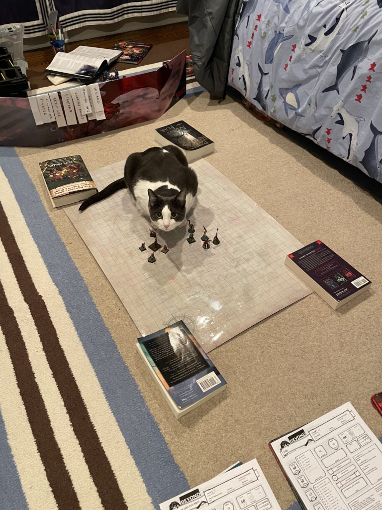 Dungeon Master – Charlotte the Cat
